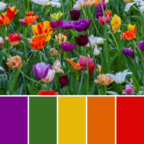 Spring Colour Palettes + Hex Codes - Mean Creative
