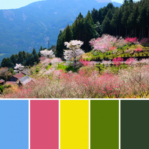 Spring Colour Palettes + Hex Codes - Mean Creative