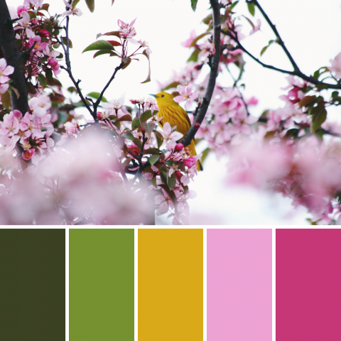 Spring Colour Palettes + Hex Codes - Mean Creative