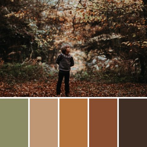 7 AUTUMN COLOUR PALETTES + HEX CODES - Mean Creative