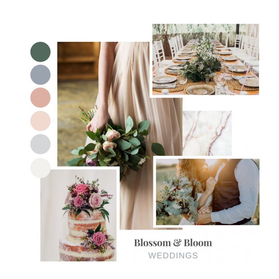 5 Steps to Create a Website Mood Board - Mean Creative